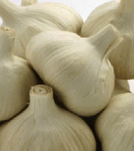 %e3%81%ab%e3%82%93%e3%81%ab%e3%81%8f | 東洋パスカリオ（旧 東洋サプリ）オンラインショップ